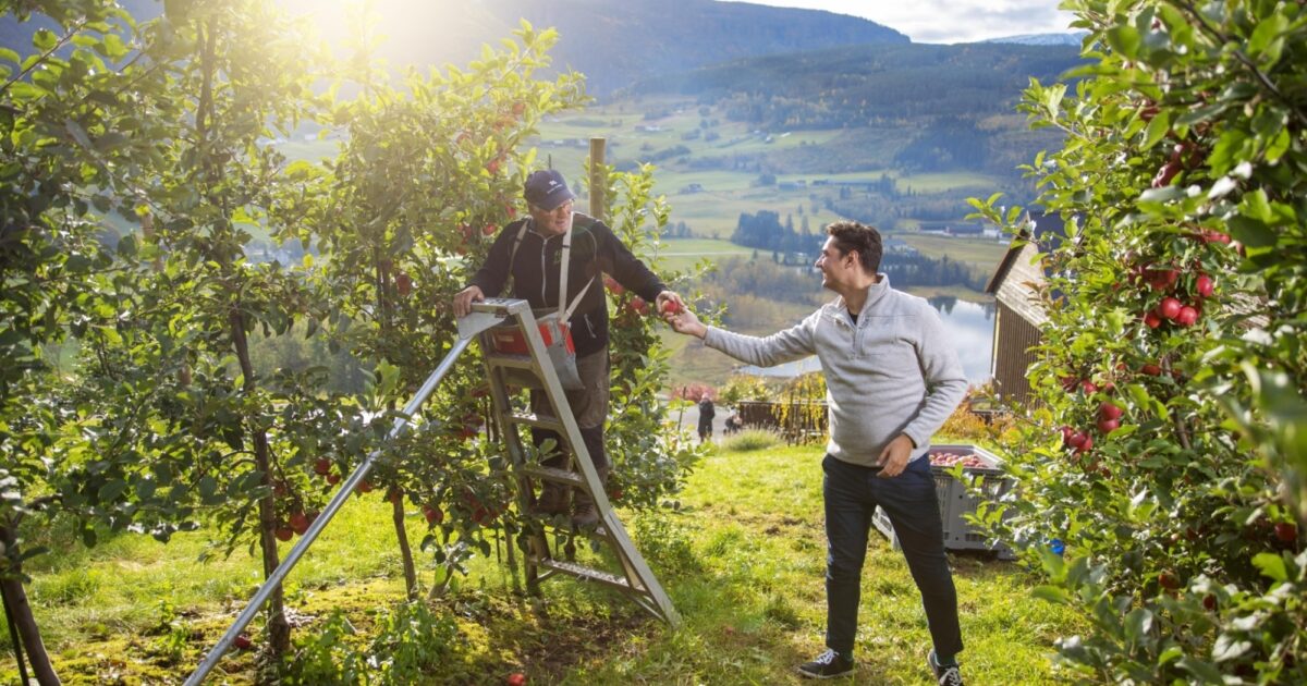 Hardanger | Taste Hardanger this autumn